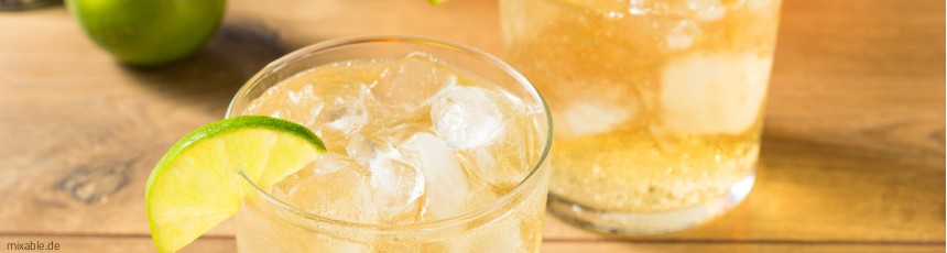 Rezept: Rum Tonic, Cocktails & Drinks | mixable.de